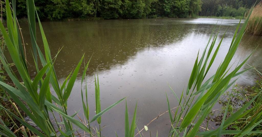 Vier Badestellen fallen durch - STIMME.de