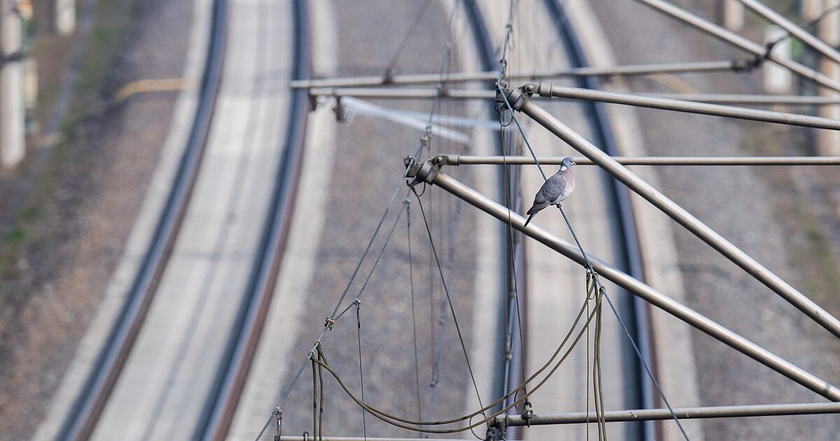 Baum fällt auf Oberleitung - Bahn wird evakuiert - STIMME.de