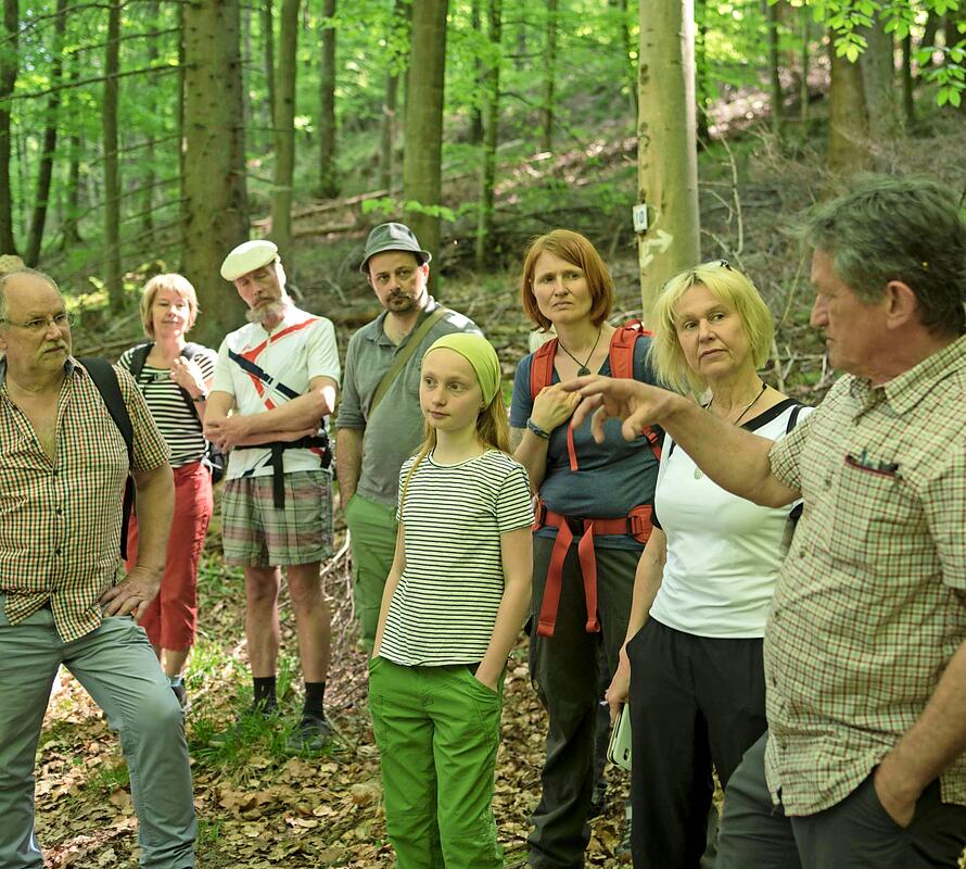 Zarte Blüten und scheue Waldbewohner - STIMME.de