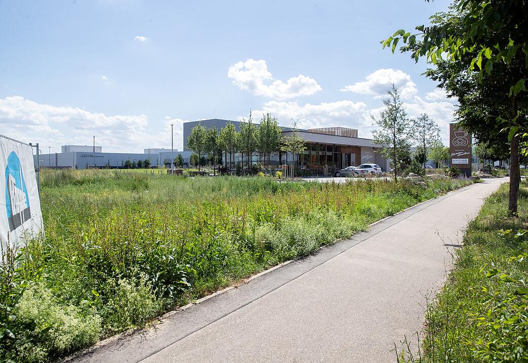 Aldi eröffnet Discounter-Markt in den Böllinger Höfen in Heilbronn ...