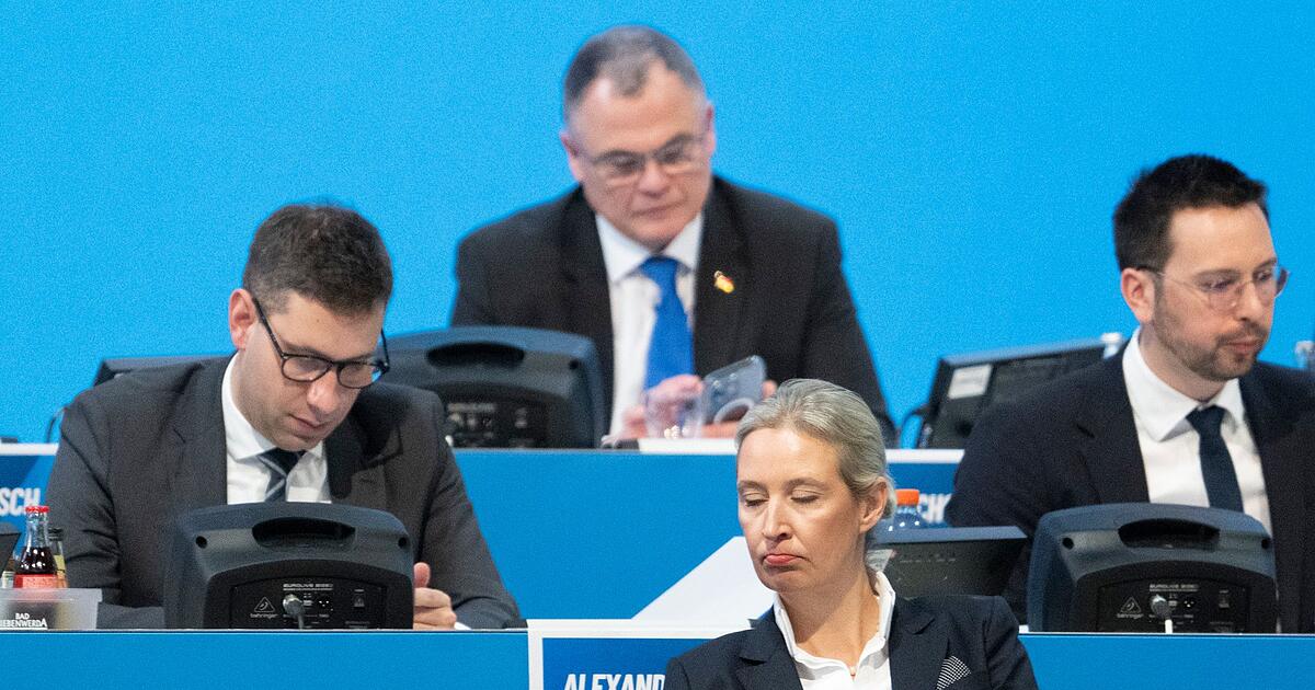 AfD kürt Weidel einstimmig zur Kanzlerkandidatin - STIMME.de