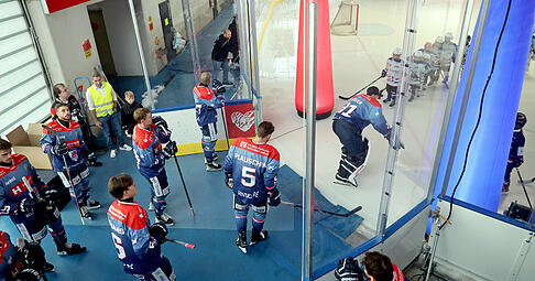 Heilbronner Falken - STIMME.de