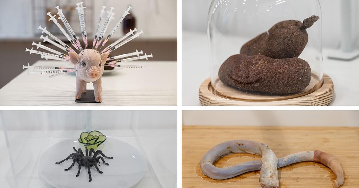 Kuriose Lebensmittel im Disgusting Food Museum: Bilder zeigen die Ausstellung mit Taste Bar ...