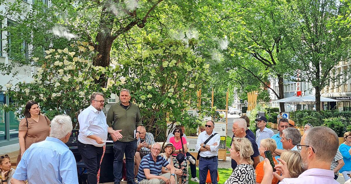Mehr Grünflächen sollen an Hitzetagen in Heilbronn Abkühlung bringen ...