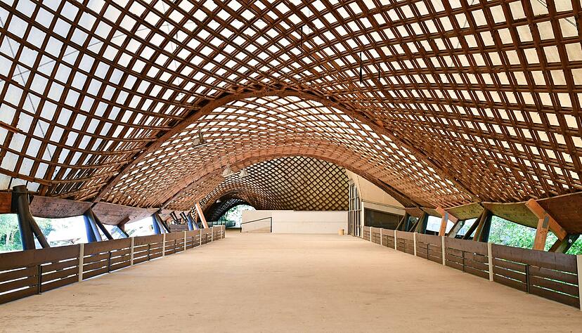 Wie die Multihalle in Mannheim zu neuem Leben erweckt werden soll ...