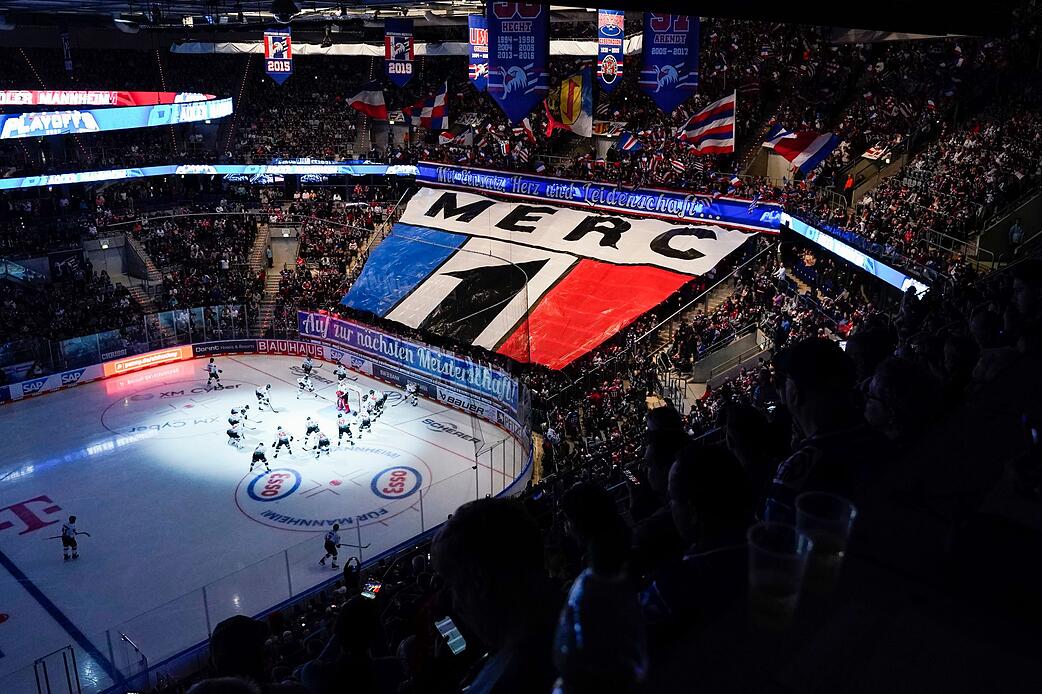 Auf den Spuren des Vaters: Mannheim holt neuen Torwart - STIMME.de