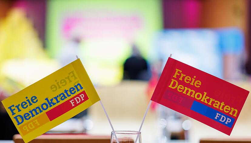 FDP-Rebellen beklagen Notlüge und «Hütchenspielertricks» - STIMME.de