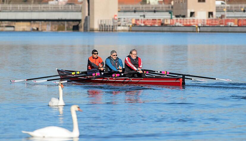 Rudern auf dem Neckar: Ein Sport für Körper und Seele - STIMME.de