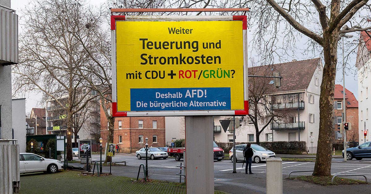 In Heilbronn sind großflächige Plakate mit AfD-Werbung aufgetaucht ...