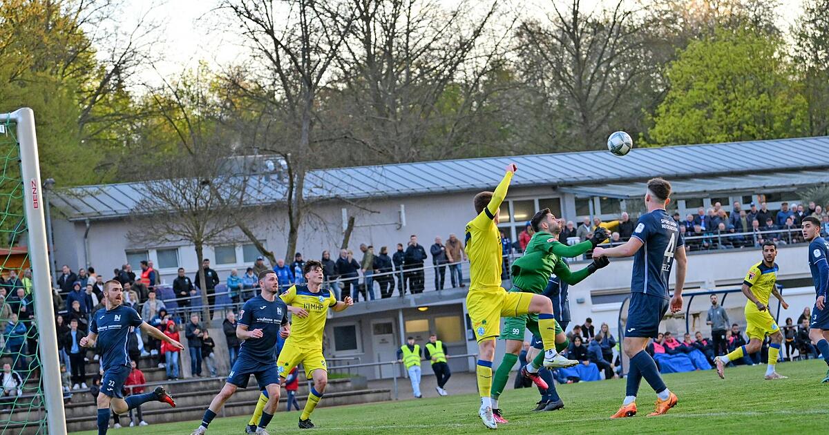 Stuttgarter Kickers sind vor dem Tor einfach abgezockter als Neckarsulm - STIMME.de