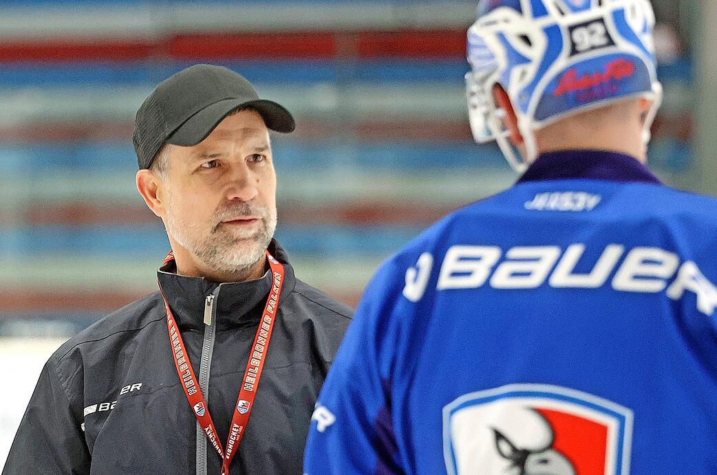 Team und Moral der Heilbronner Falken sind am Leben - STIMME.de