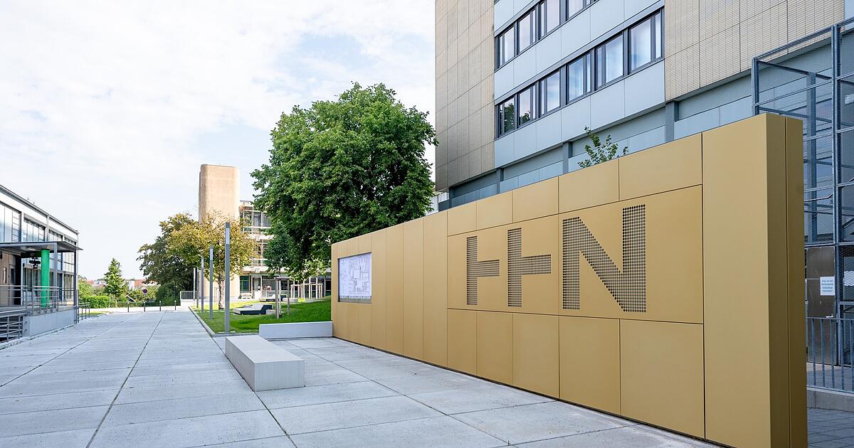 Hochschule Heilbronn bietet zwei neue Studiengänge an - STIMME.de