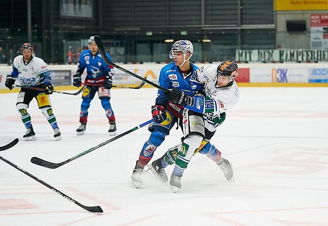 Heilbronner Falken: Simon Thiel erhält U21-Fördervertrag - STIMME.de