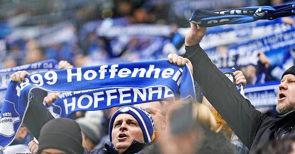 Pro & Contra: Kriegt die TSG Hoffenheim mit Matarazzo die Kurve? - STIMME.de