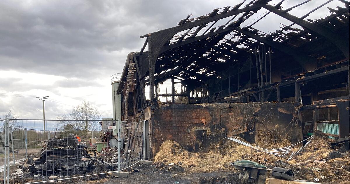 Bei der Brandleiche handelt es sich mutmaßlich um einen Rentner - STIMME.de