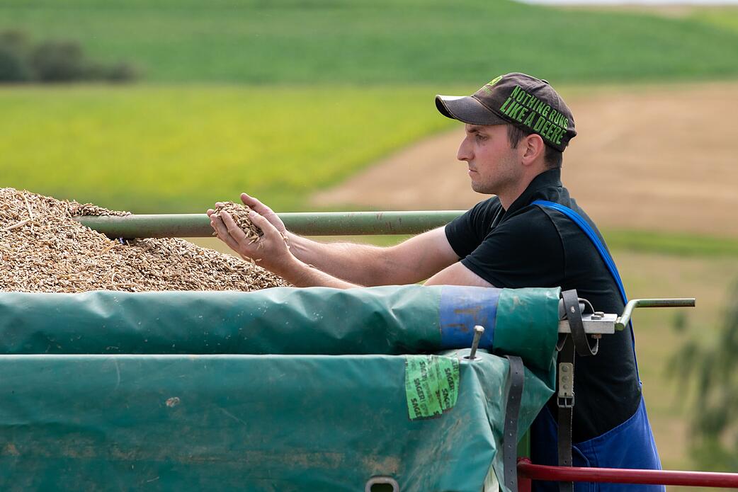 Wie gefräßige Insekten machen Mähdrescher alles nieder - STIMME.de
