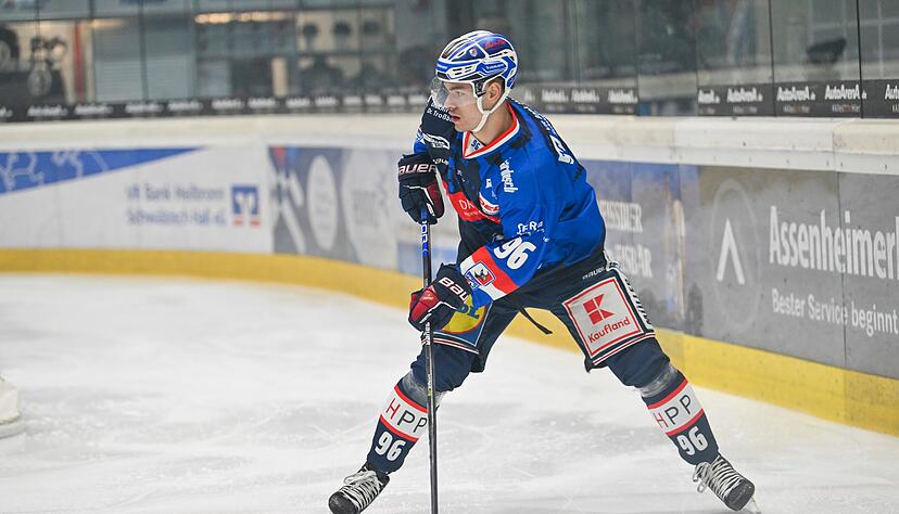 Auswärtsserie der Heilbronner Falken reißt in Dresden - STIMME.de