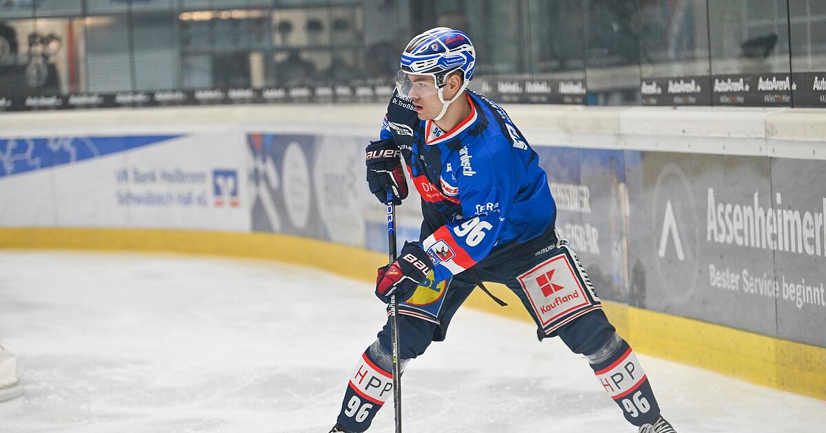 Auswärtsserie der Heilbronner Falken reißt in Dresden - STIMME.de