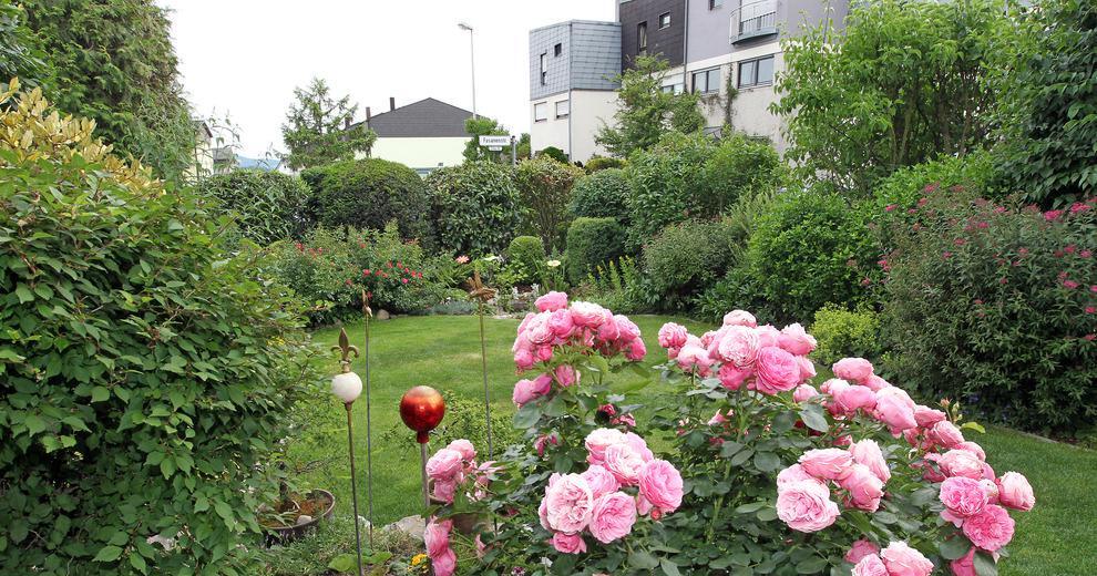 Im Garten von Alexander Denk | 17.06. - STIMME.de