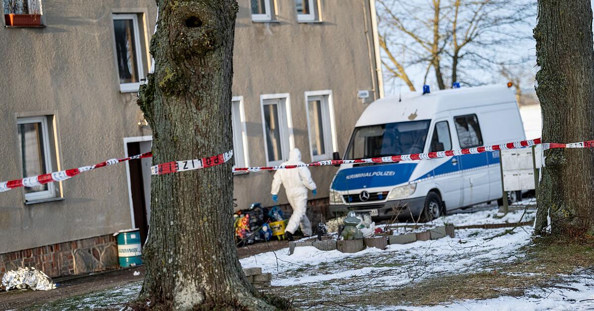 Stichattacke: Zwei Tote und zwei Verletzte in Brandenburg - STIMME.de