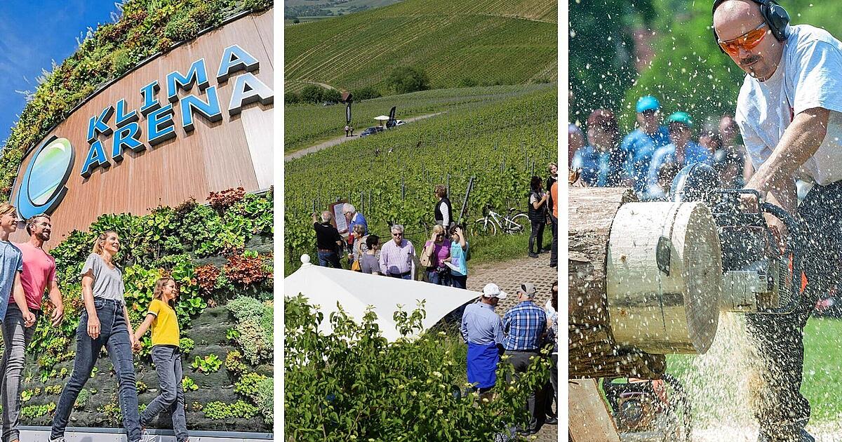 Freizeit-Tipps für das lange Pfingstwochenende in der Region Heilbronn ...