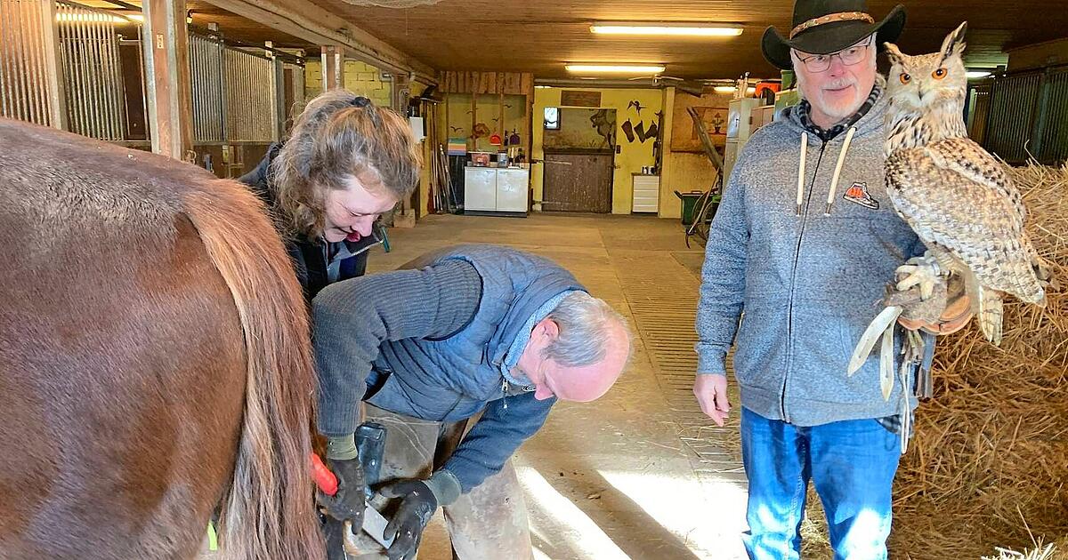 Trotz Verkaufsabsichten: Eppinger Moonlight-Ranch startet in die neue ...