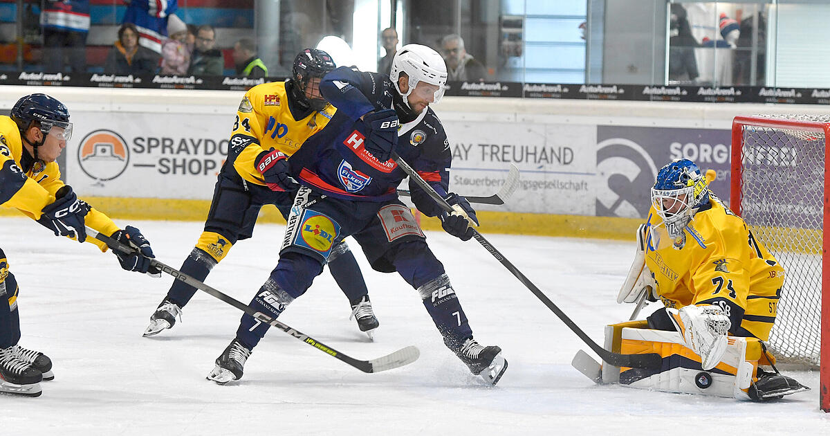 Fünf Spieler und Trainer Frank Petrozza verlassen die Heilbronner ...