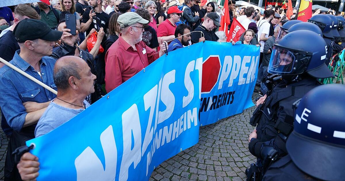 AfD-Demonstration in Mannheim: Tausende Menschen bei Gegenveranstaltung ...