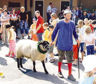 Ein Hammel, zwei Gewinner und viele Gäste - STIMME.de