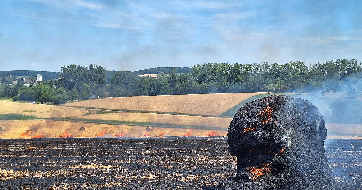 Feuerwehr rückt zu Flächenbrand in Abstatt aus – Bilder zeigen Einsatz ...