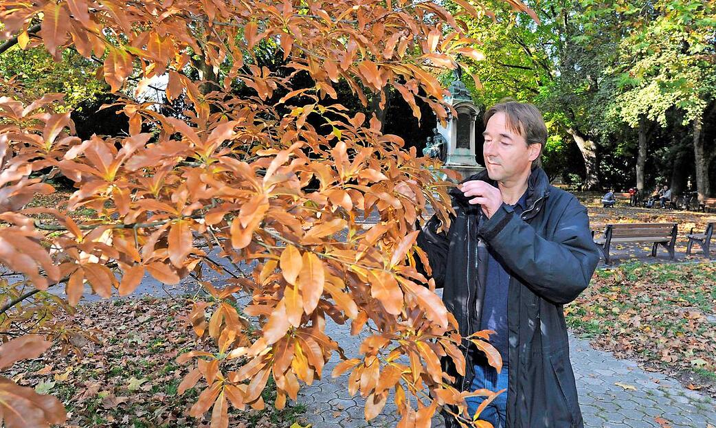 Baum-Experte prophezeit langen Winter - STIMME.de