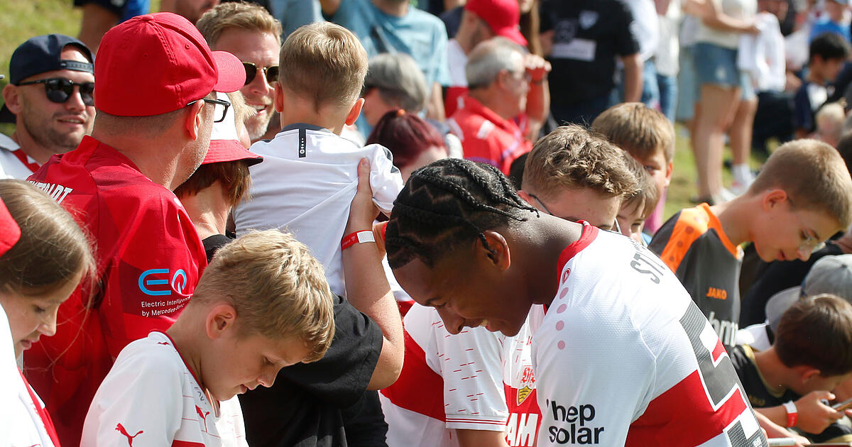 Ärmel-Sponsoring beim VfB Stuttgart bringt Hep Solar Aufträge in Millionenhöhe - STIMME.de