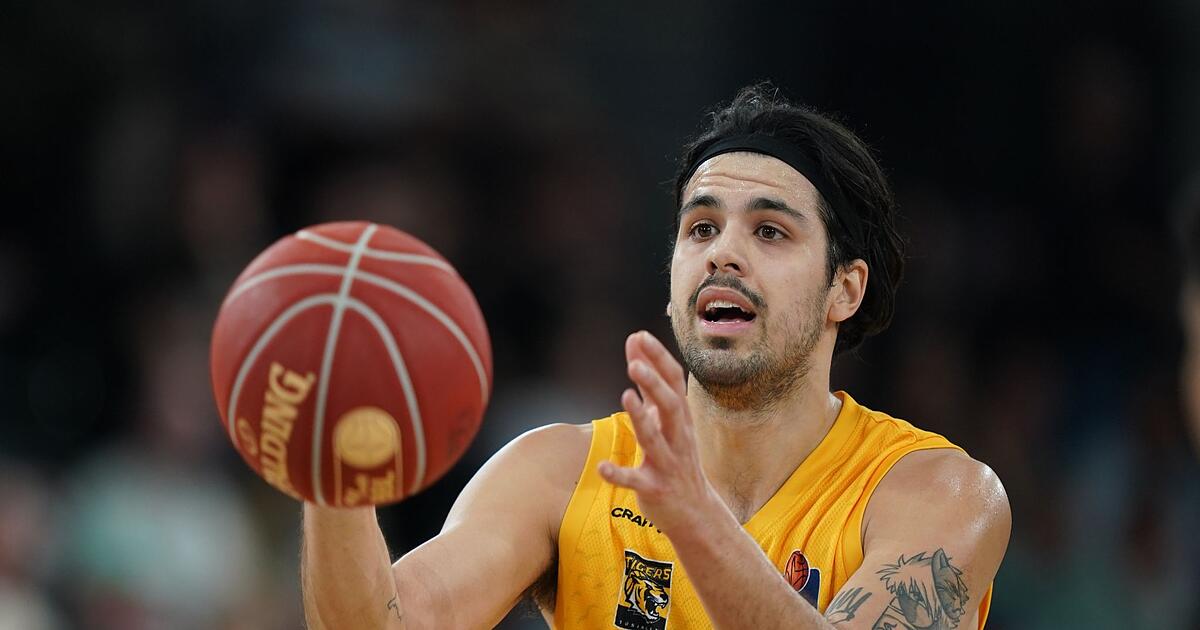 Basketballer Ersek wechselt von Tübingen nach Heidelberg - STIMME.de