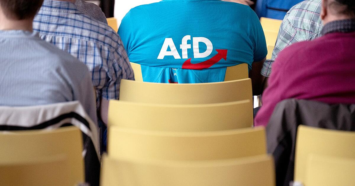Institut: Voraussetzungen für AfD-Verbot sind erfüllt - STIMME.de