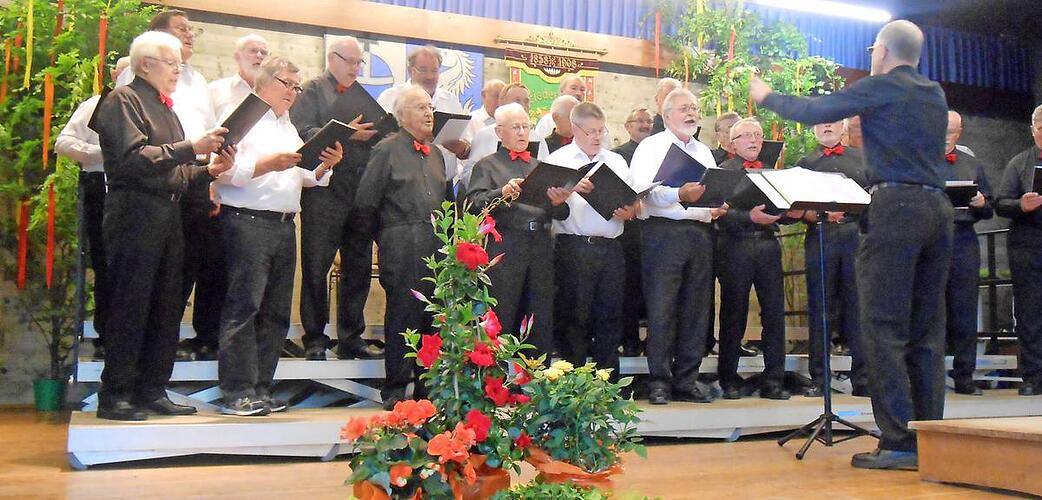 Eine Hommage an das deutsche Liedgut - STIMME.de