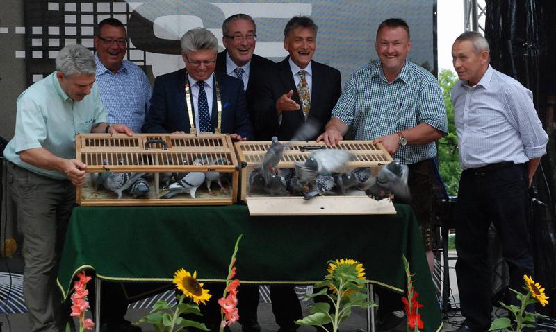 Projekt erweist sich als Glücksfall - STIMME.de