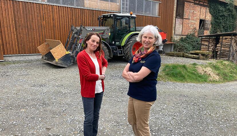 Wenn die Mutter plötzlich ausfällt, springt die Dorfhelferin ein ...