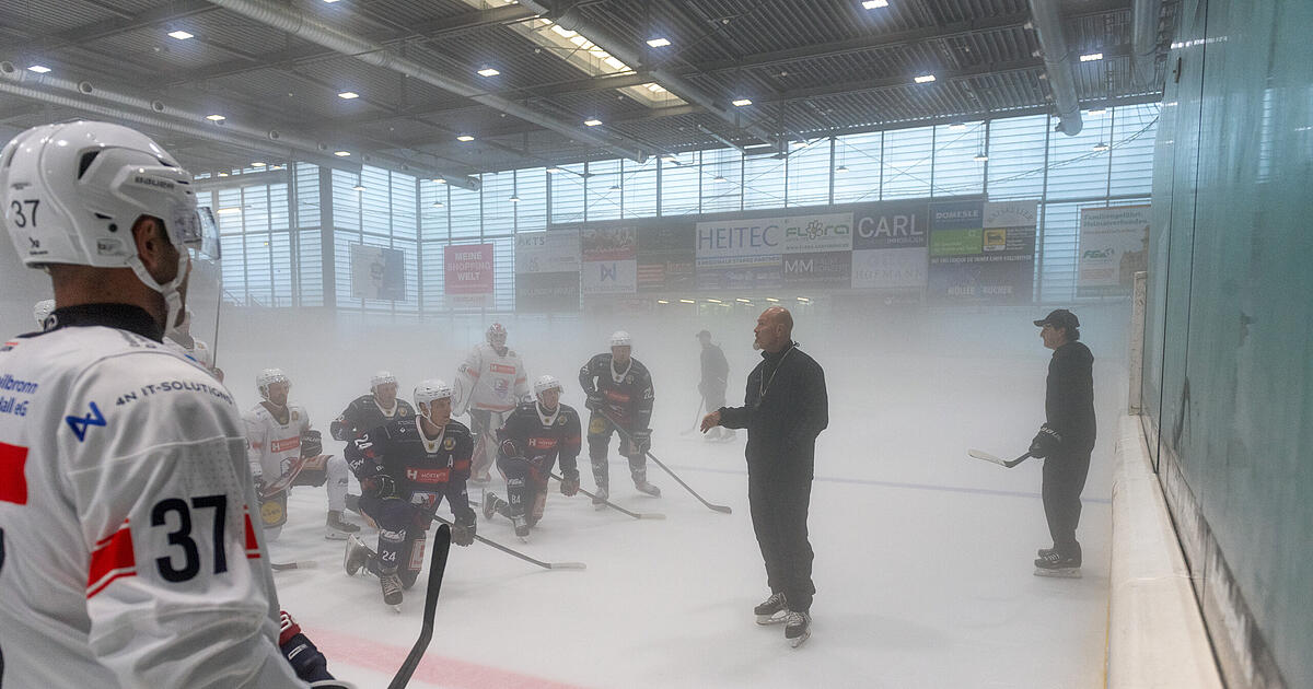 Heilbronner Falken starten mit einem öffentlichen Training in die ...