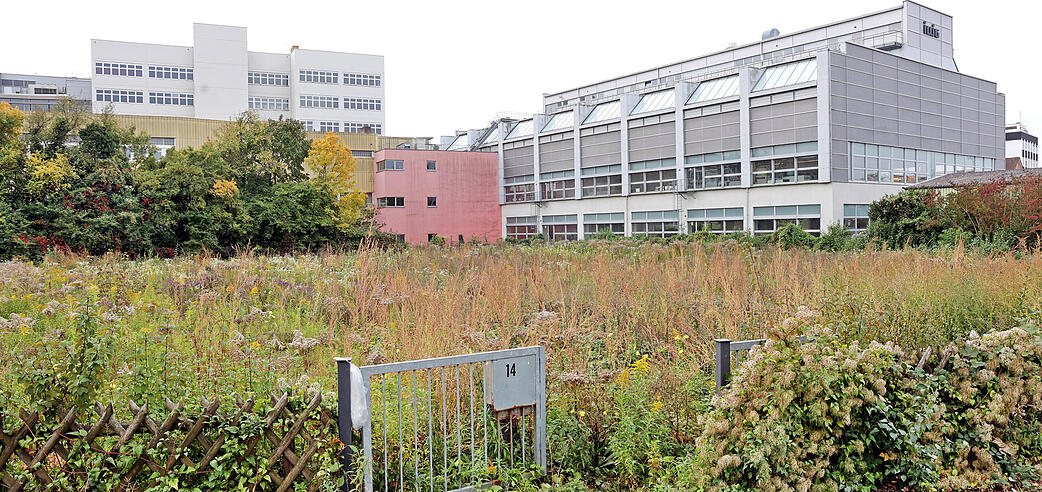 Weg für Neubau an Sontheimer Landwehr in Heilbronn ist frei - STIMME.de