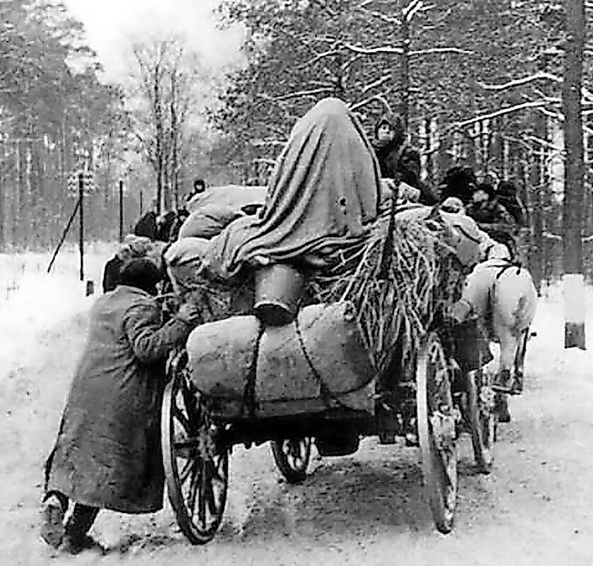 Die Donauschwaben: Geschichte einer Flucht nach Bad Wimpfen - STIMME.de