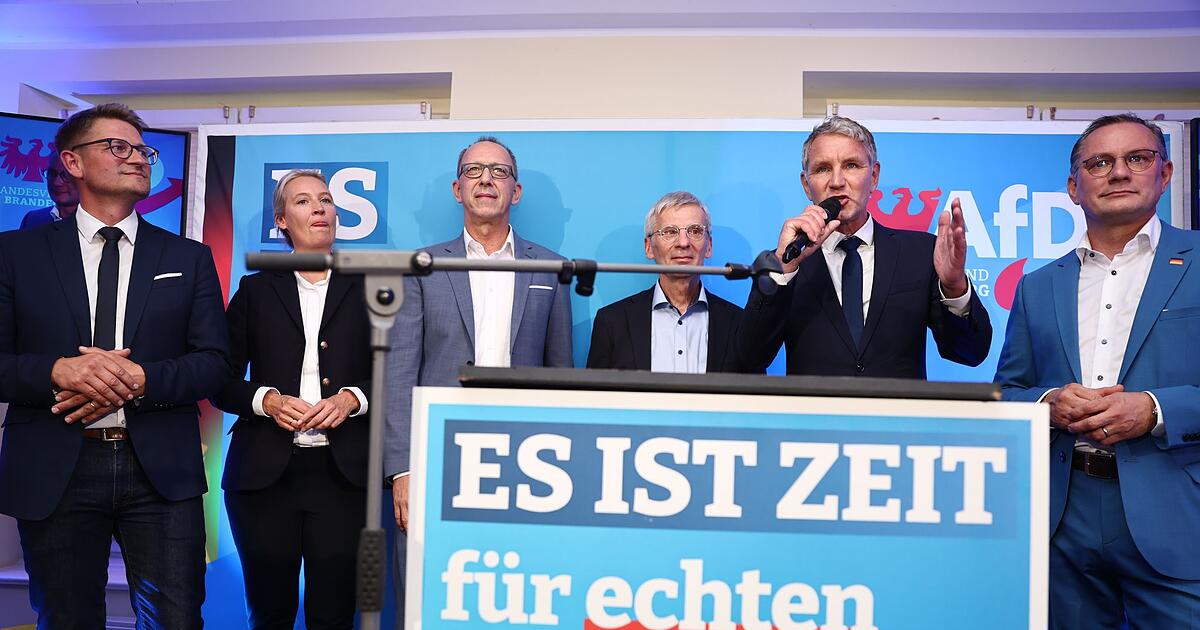 AfD darf Abschiebe-Lied nicht mehr spielen - STIMME.de