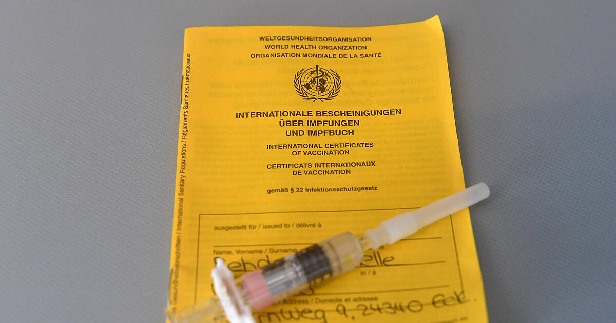 SLK-Expertin erklärt, welche Erkrankungen eine HPV-Infektion auslösen kann - STIMME.de