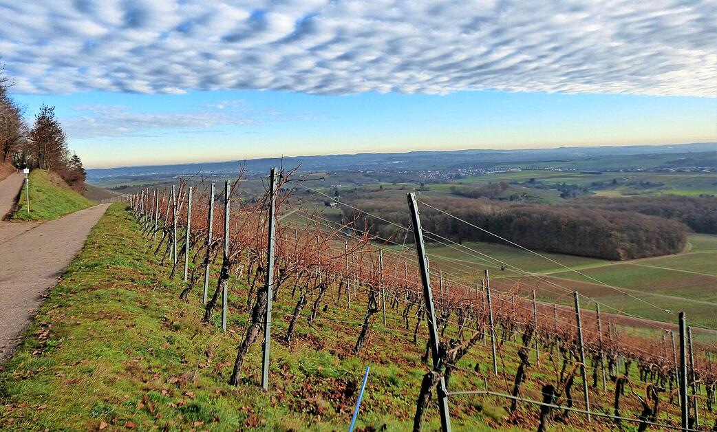 Die Blicke schweifen lassen: Auf dem Panoramaweg zur Heuchelberger ...