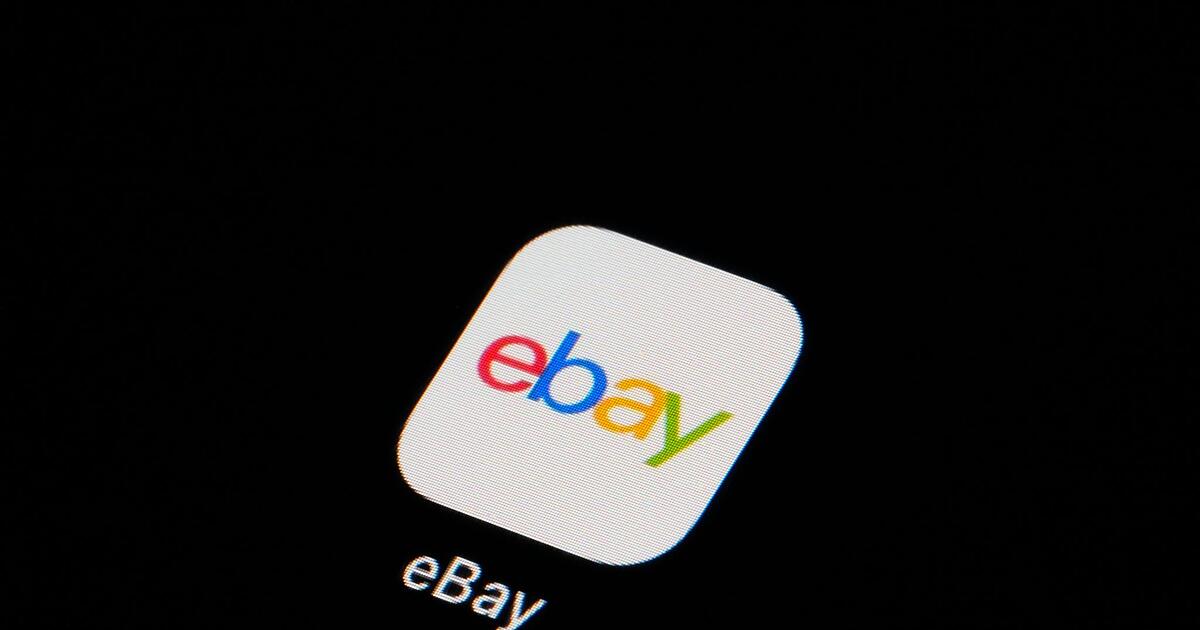 Kritische Blogger tyrannisiert: Ebay zahlt Millionenstrafe - STIMME.de