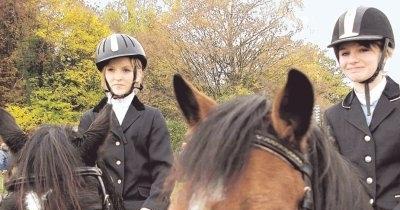 Als Fuchs fühlt man sich besser - STIMME.de