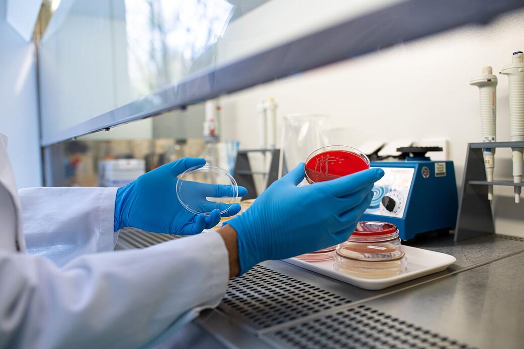 Häufung von Ehec-Infektionen - wie gefährlich ist das? - STIMME.de