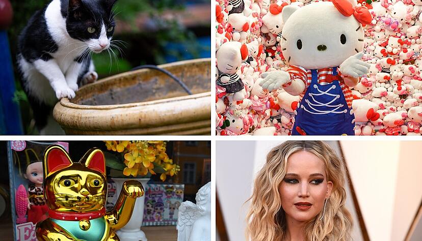 Rapperin, Heldin, Stil-Ikone: Katzen aus der (Pop-)Kultur - STIMME.de