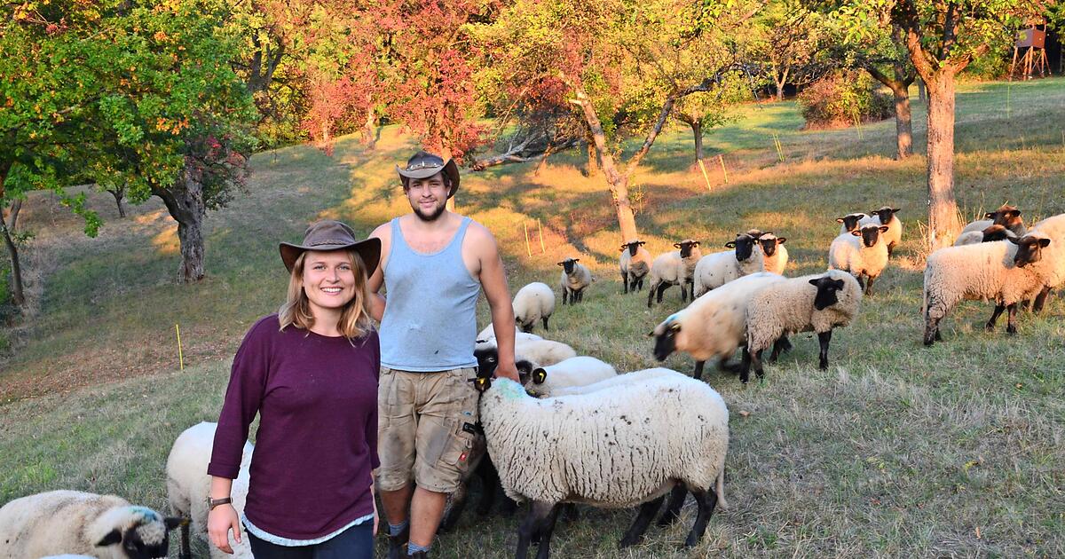 Eine kleine Landwirtschaft mit Idealismus betreiben - STIMME.de