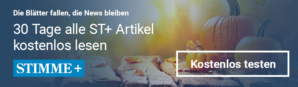 Nachrichten für die Region Heilbronn - Hohenlohe - Kraichgau - STIMME.de